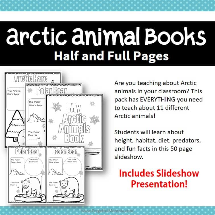 All About Arctic Animals - 11 Different Animals - Google Slide ...