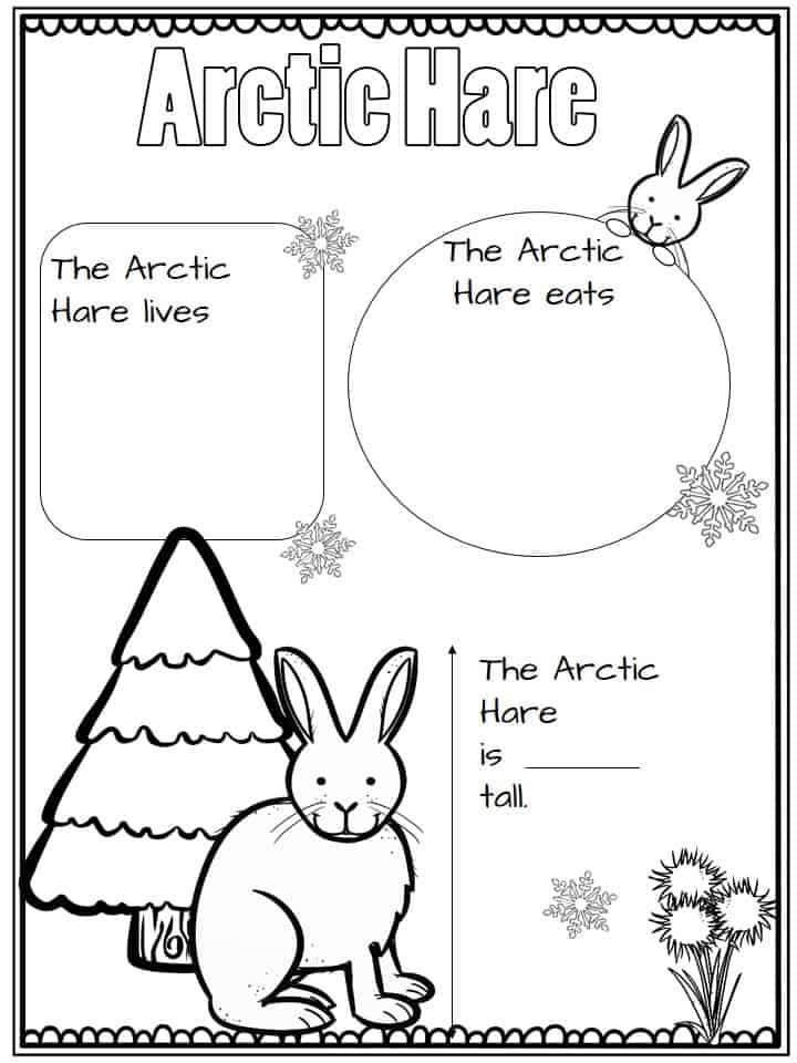All About Arctic Animals - 11 Different Animals - Google Slide ...