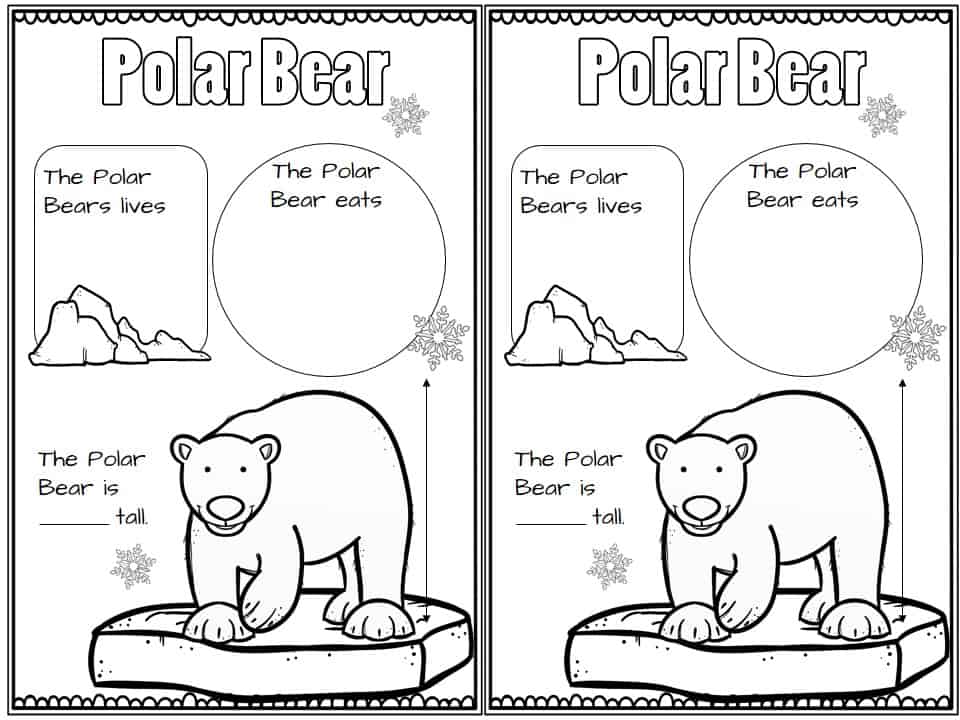 All About Arctic Animals - 11 Different Animals - Google Slide ...