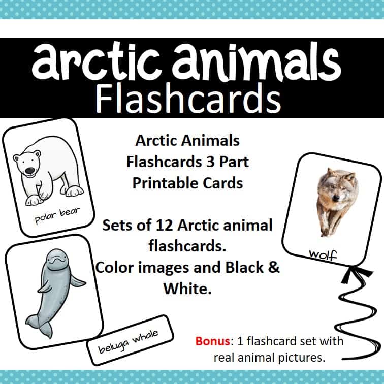 Arctic Animals Flashcards - Forgetful Momma Shop