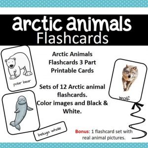 Arctic Animals Flashcards - Forgetful Momma Shop