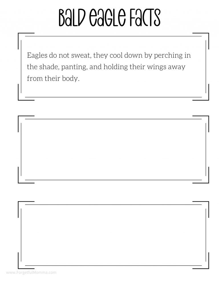 Mini Unit Studies on Bald Eagles for Kids - Forgetful Momma Shop