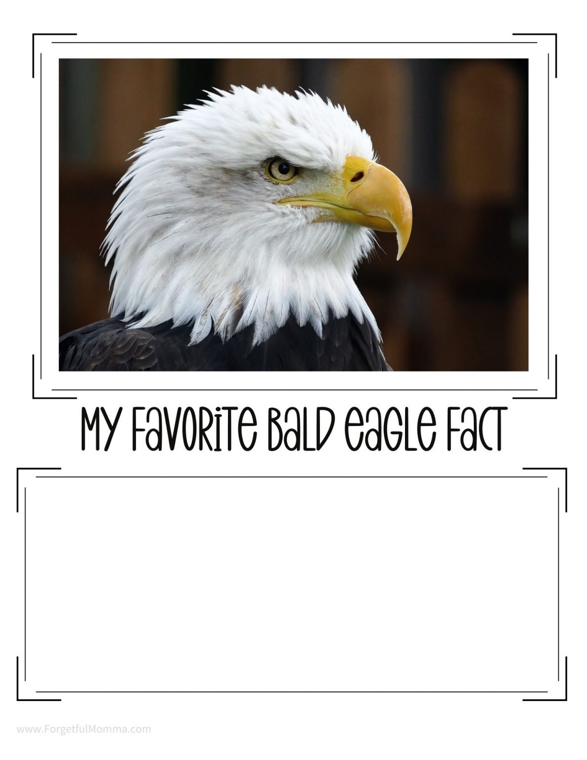 Mini Unit Studies on Bald Eagles for Kids - Forgetful Momma Shop