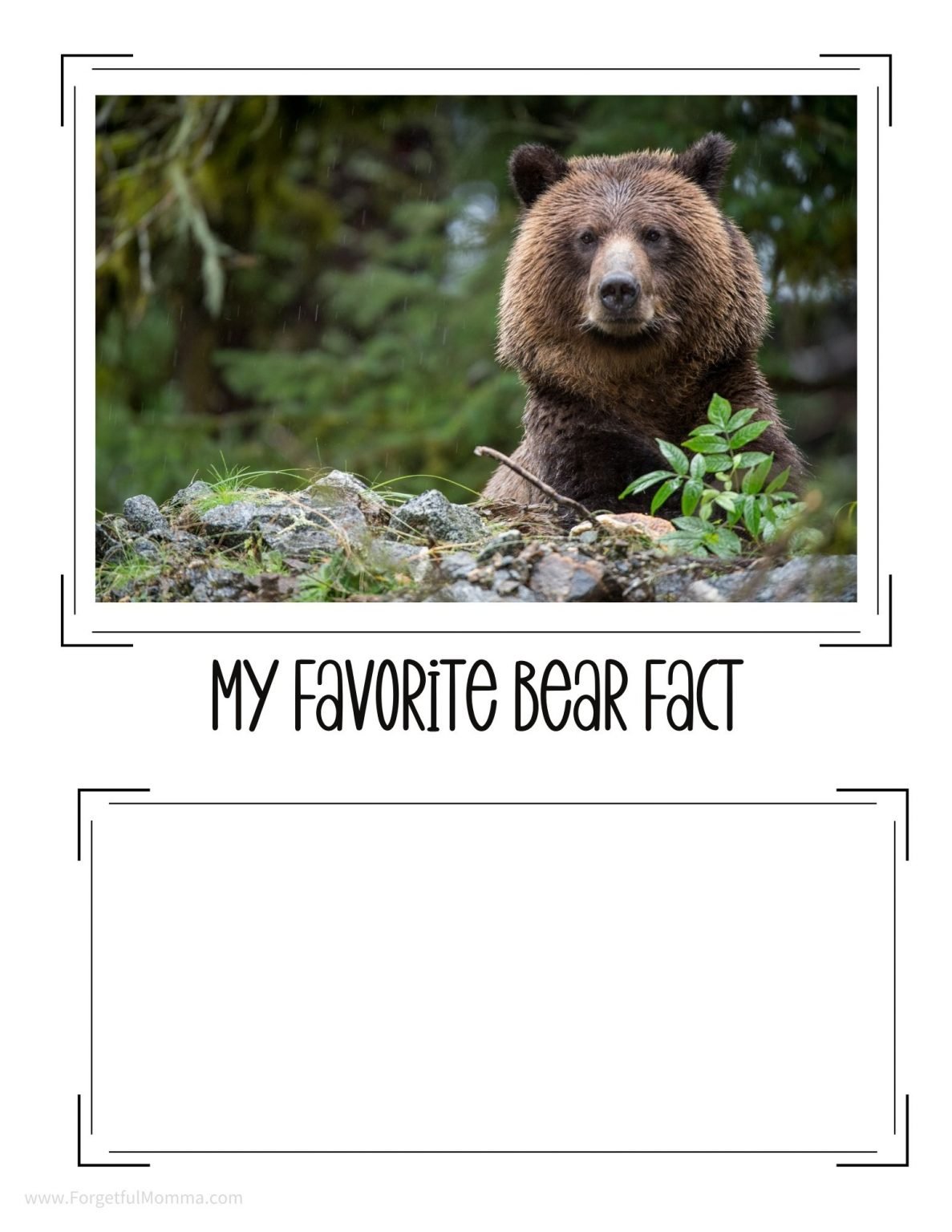 Mini Unit Studies on Bears for Kids - Forgetful Momma Shop