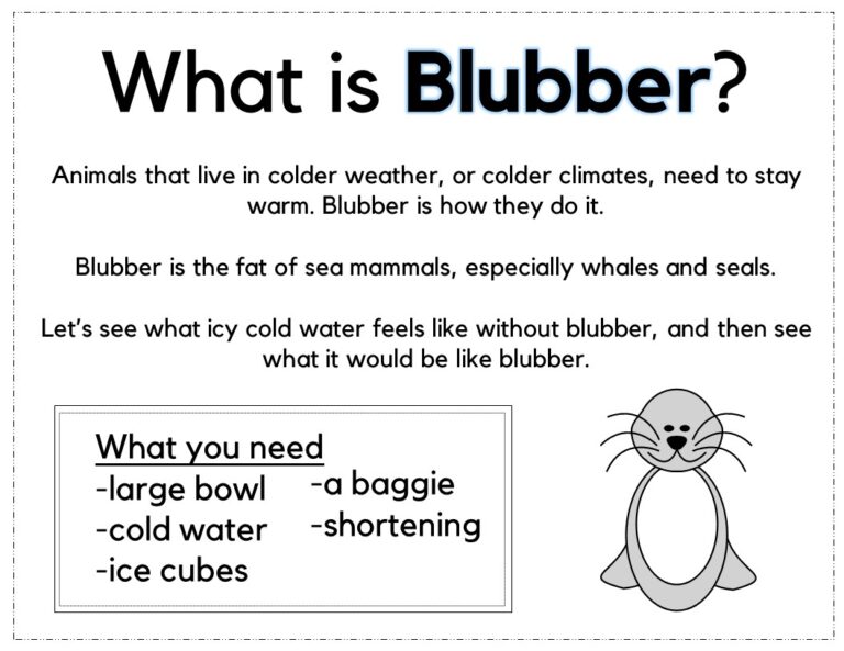 What is Blubber? Arctic Animal Science - Forgetful Momma Shop
